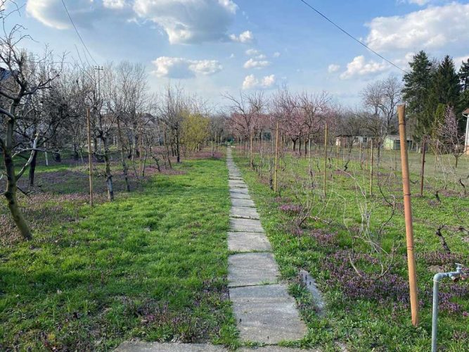 Vikendica na putu Zrenjanin - Klek, sa izlazom na Begej, ponuđena na ...